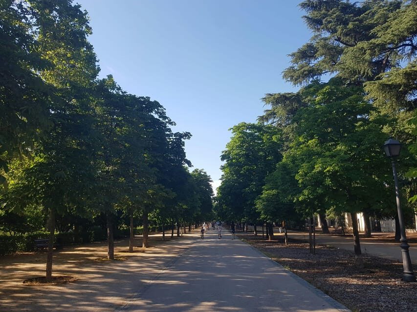Madrid Bike Tour with Churros plus Ham & Wine Tasting Option - In-Depth Look at the Itinerary