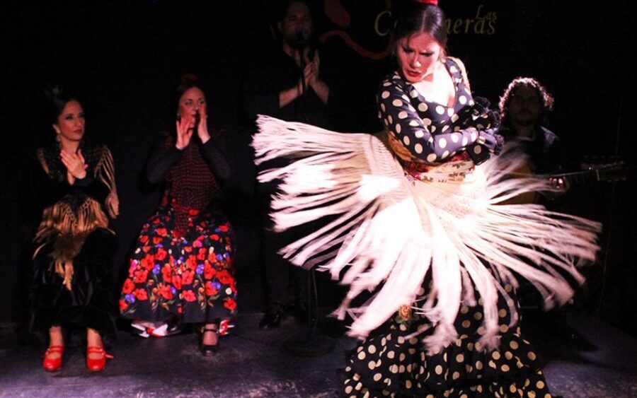 Madrid: Flamenco Show with Tapas and Wine Tour - The Flamenco Experience