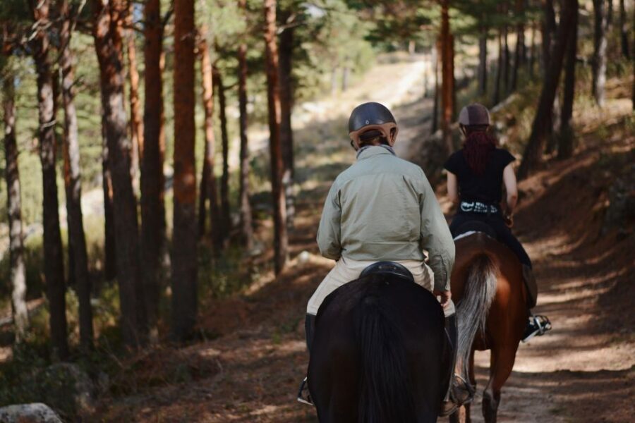 Madrid: Horse Riding in Sierra del Guadarrama National Park - Detailed Breakdown of the Experience