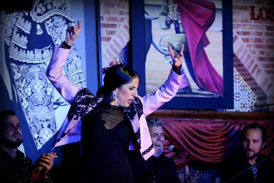 Madrid: Los Porches Flamenco Show with Tapas and Wine Ticket - Who Would Love This Experience?