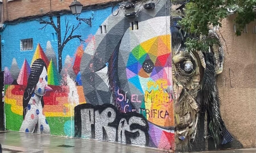 Madrid: Private Grafitis/Street Art Segway Tour 2h - Authentic Reviews and Insights