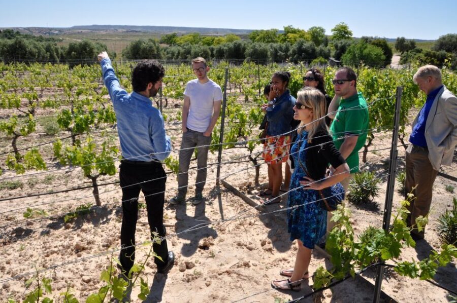 Madrid: Regional Madrid Wineries Guided Tour and Tastings - Who Will Love This Tour?