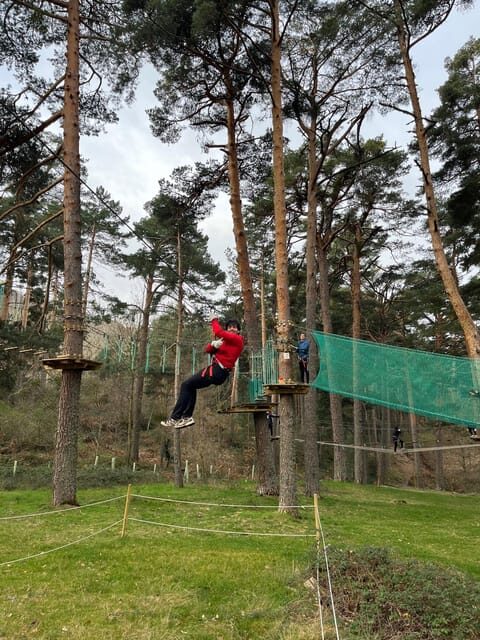 Madrid: Zip line circuits high in the trees - The Experience in Context