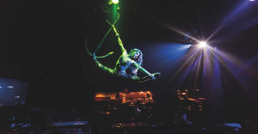 Magaluf: Pirates Adventure Dinner Show Ticket - The Value and Practicalities