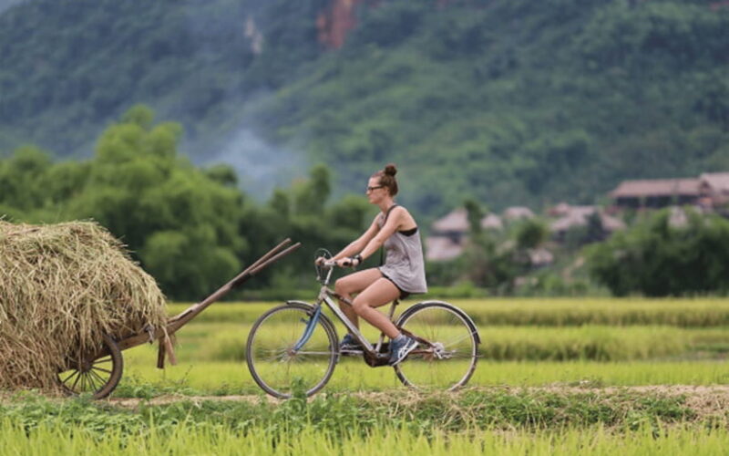 Mai Chau: 2-Day Tour with Local Ethnic Delicacies - Key Points