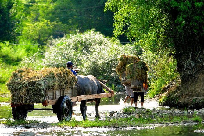 Mai Chau Private Day Tour: Hiking & Biking in Pristine Landscapes - Starting the Day: Comfort and Convenience from Hanoi