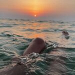 Majorca: Sunset boat tour Andratx - Dragonera + Snorkeling - What Makes This Tour Special?