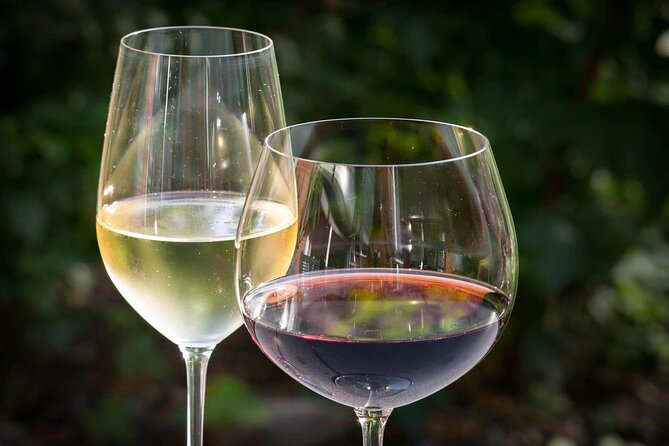 Majorca Winery Visit with Wine & Local Food Tasting from East - An In-Depth Look at the Majorca Winery Tour