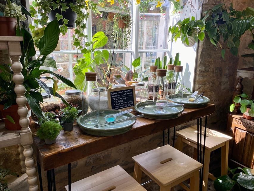 Make Your Own Terrarium in a houseplant paradise - Why This Experience Is Valuable