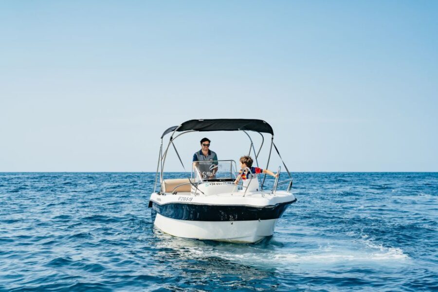 Malaga: Boat Rental without a License for Dolphin Watching - Why Choose This Experience?