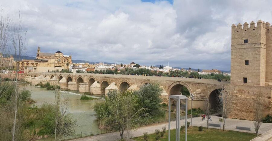 Málaga: Cordoba Day Trip and Optional Mosque-Cathedral Entry - Exploring the Itinerary