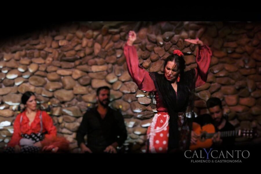 Malaga: El Gallo Ronco Flamenco Show Admission Ticket - The Practical Details