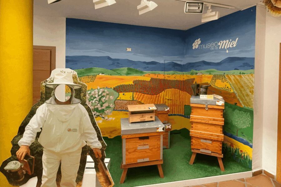 Malaga: Honey Museum Entry Ticket - Who Will Love This Experience?