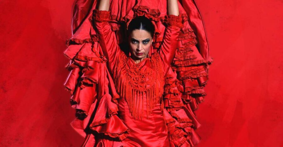 Malaga: Teatro Flamenco Malaga Live Flamenco Show - What to Expect on the Night