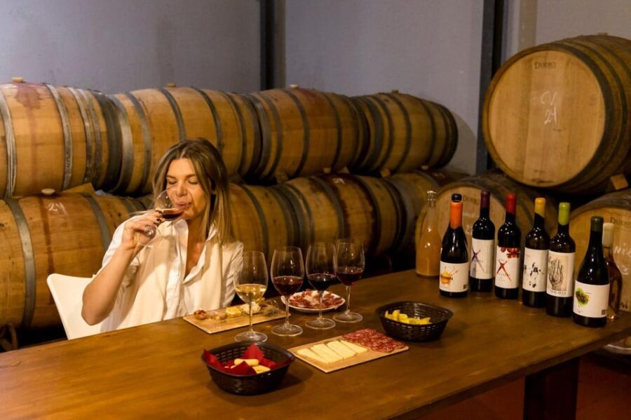 Malaga: Vineyard and Cellar Visit with 6 Top Wines and tapas - The Intimate Group & Personal Touches