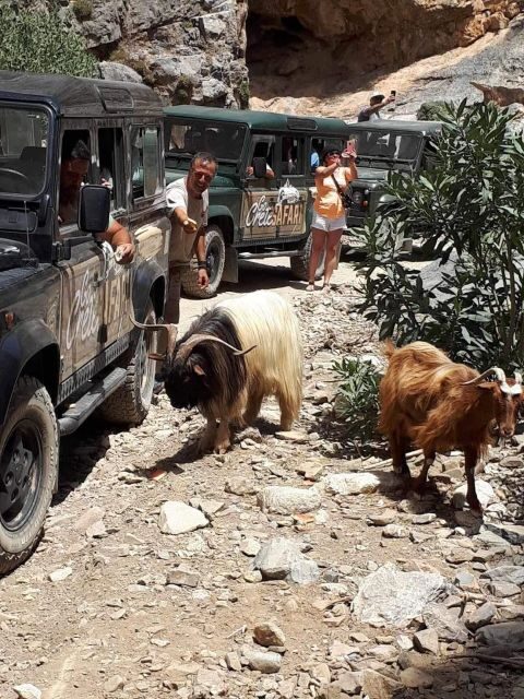 MALIA: East Crete Famous Places (Family and Child Friendly) - Practical Considerations and Value