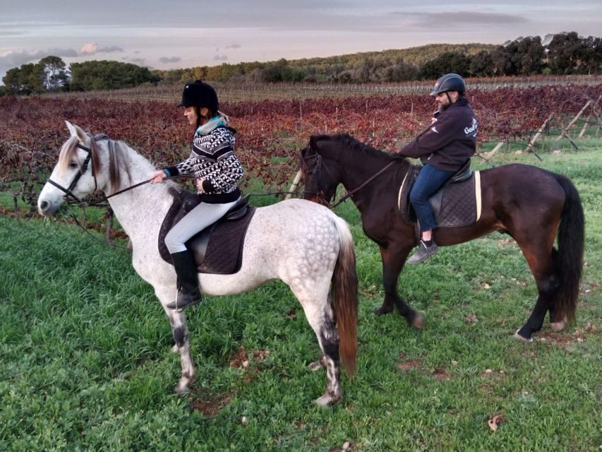 Mallorca: Activity with Horses, Antique Mallorca - What’s Included and What’s Not