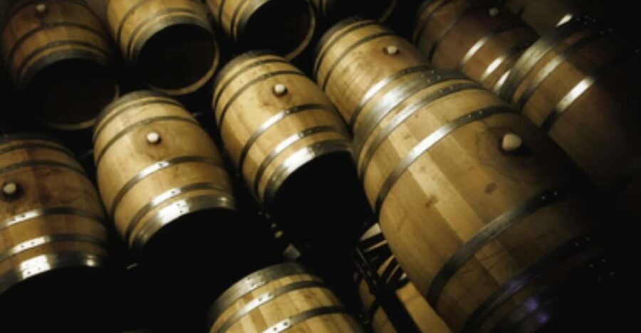 Mallorca: Bodega Butxet Vineyards & Winery Tour with Tasting - Final Thoughts: Why You Should Consider This Tour