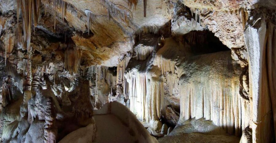 Mallorca: Campanet Caves Entry Ticket - The Authentic Touch: What Travelers Say