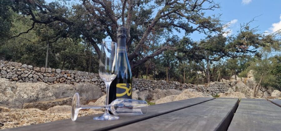 Mallorca: Cap & Cava - Minibus Tour to Formentor - GERMAN - Who Should Consider This Tour?