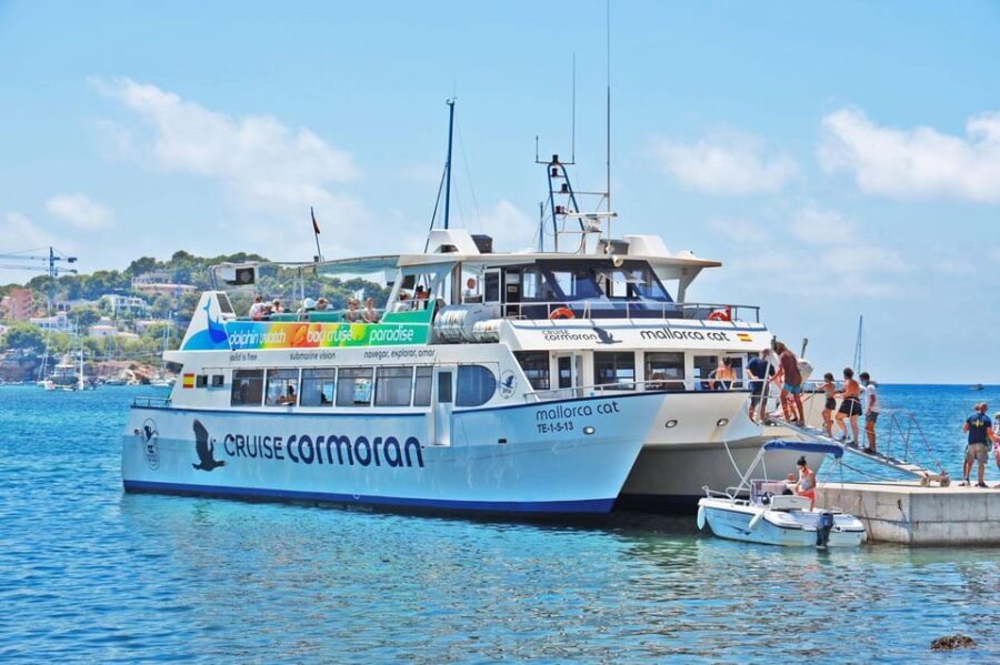 Mallorca: Catamaran Coastal Cruise with Lunch - Who Will Love This Cruise?