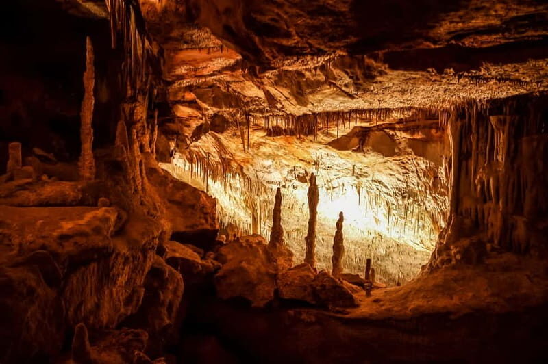 Mallorca: Caves of Drach Tour from the North with Boat Trip - What sets this tour apart?