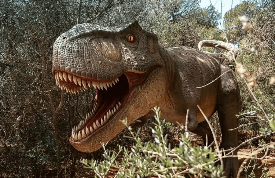 Mallorca: Dinosaurland Park, Hams Caves & Porto Cristo Tour - Real Traveler Experiences