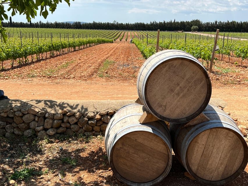 Mallorca: Discover the secret treasures of the local wine - Who Should Consider This Tour?