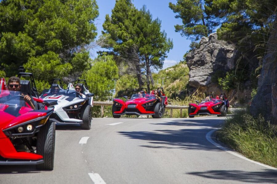 Mallorca: Formula Car Tour to Sa Foradada - Who Should Consider This Tour?