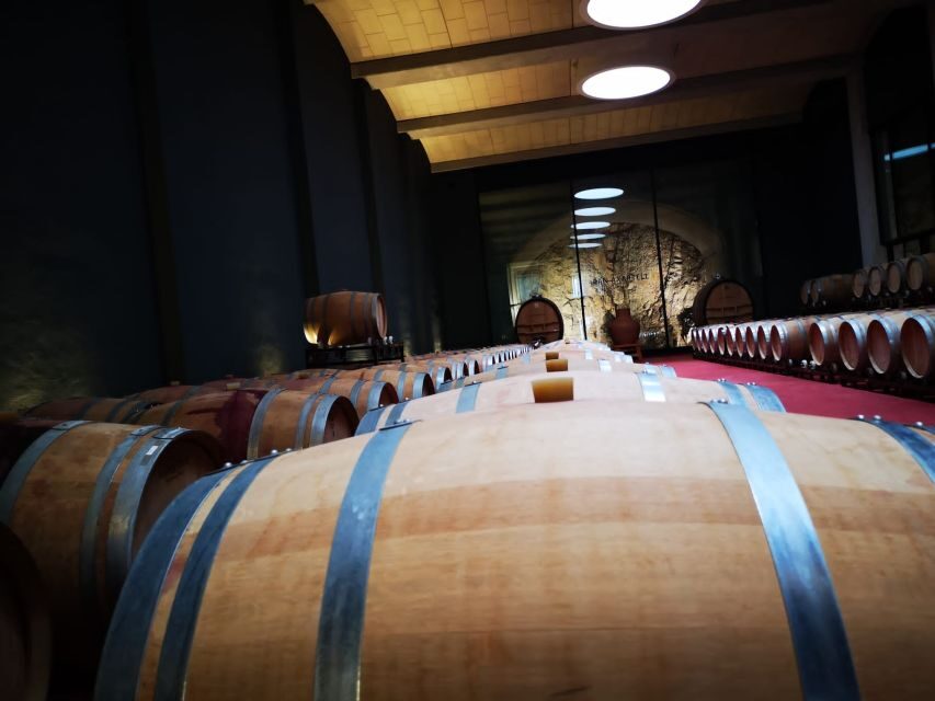 Mallorca: Full-Day Winery Small Group Tour - What Does the Experience Mean for You?