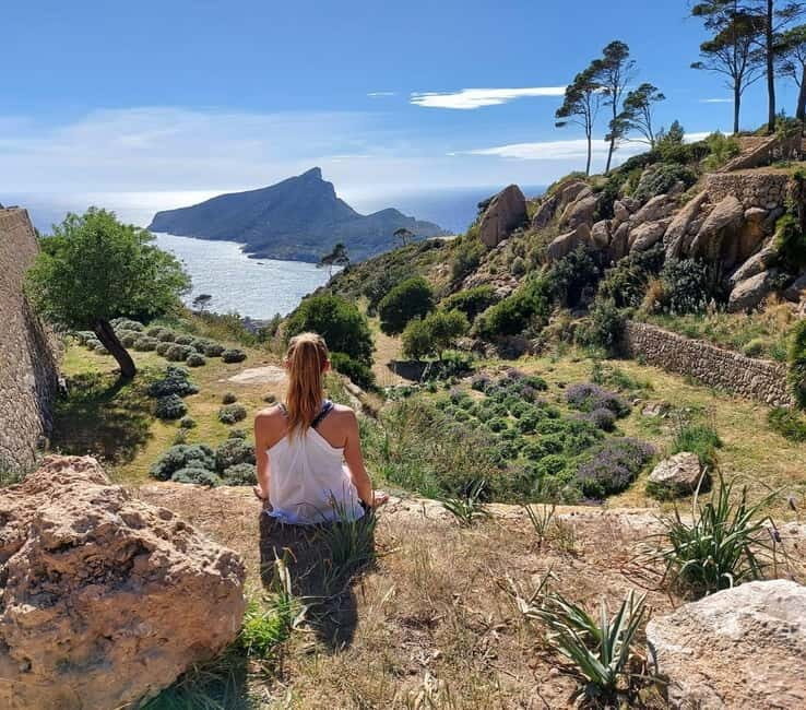 Mallorca hiking tour "Castell d'Alaró" - Why You’ll Love the Castell dAlaró Hiking Experience