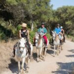 Mallorca: Horseback Riding Excursion and Wine Tasting - The Tasting Experience: Savoring Mallorca’s Flavors