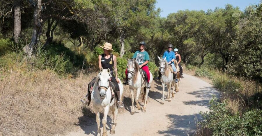 Mallorca: Horseback Riding Excursion and Wine Tasting - The Tasting Experience: Savoring Mallorca’s Flavors