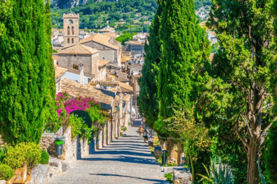Mallorca: Instafamous Tour of Palma and North coast - How the Tour Works for You