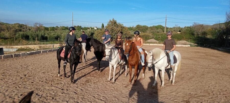 Mallorca: , Mallorcan sunset, horseback riding, with drinks - Who Will Love This Tour?