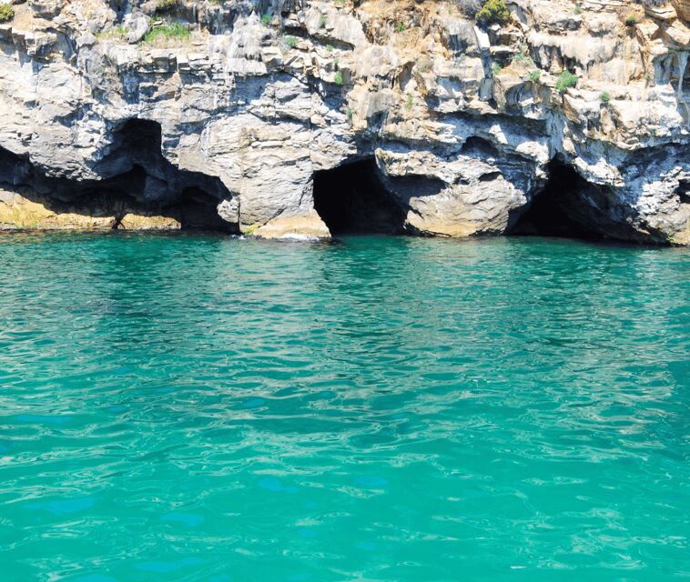Mallorca Marine reserve: Visit caves, cliffs and snorkeling - Who Will Love This Tour?
