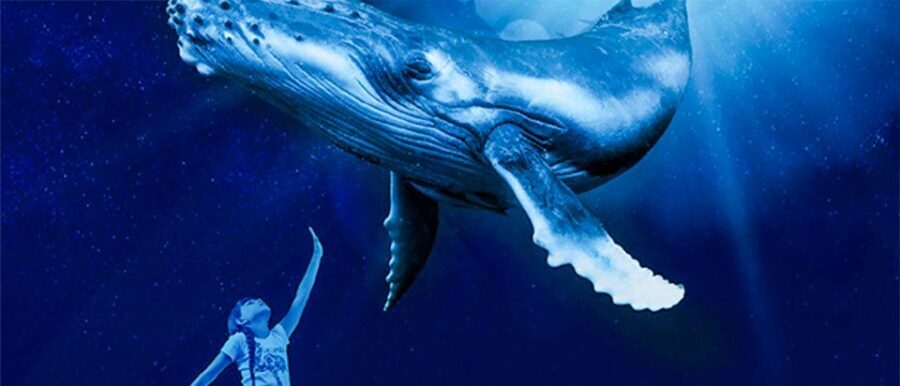 Mallorca: Palma Aquarium Entry Ticket w/ Optional 3D Cinema - An In-Depth Look at Palma Aquarium