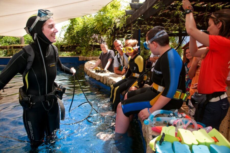 Mallorca: Palma Aquarium Tickets with Transfer - An In-Depth Look at the Mallorca Palma Aquarium Tour