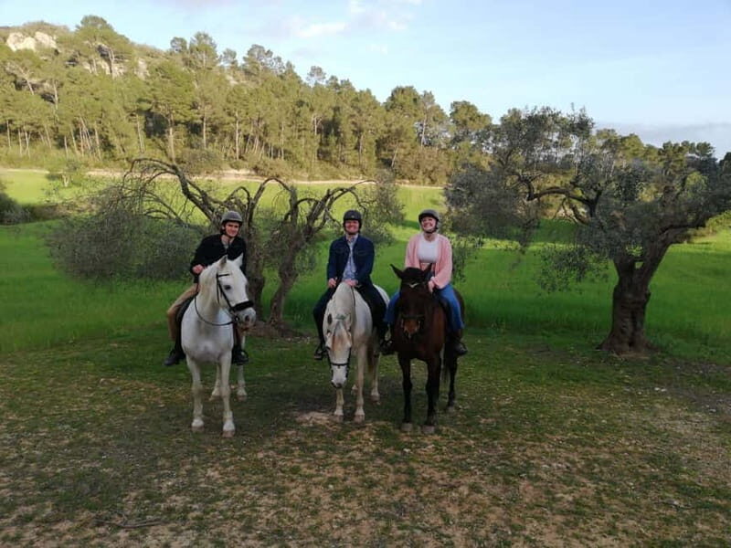 Mallorca: Sunset & Spanish Riding School Show - The Return Journey and Equine Demonstration