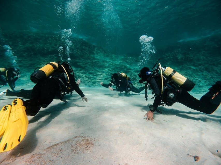 Mallorca: Try Scuba Diving by Boat - Who This Tour Is Perfect For