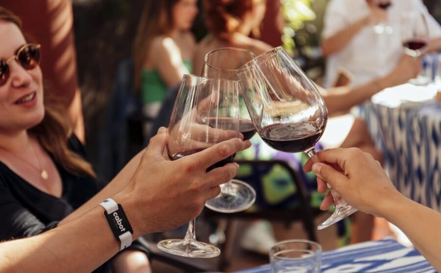 Mallorca Wine Tasting Experience: 4 wines & cheese - The Value of the Experience