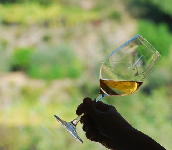 Manarola: Cinque Terre Wine Tasting - What Wines Will You Try?