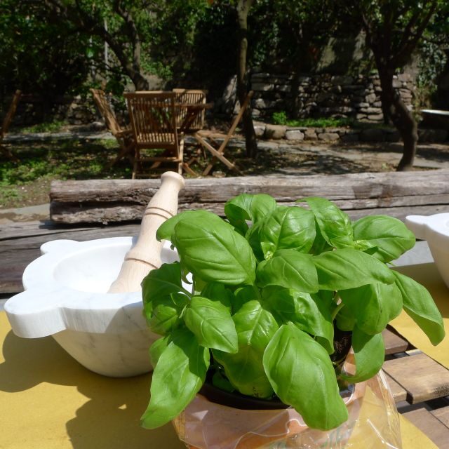 Manarola: Pesto Making Class with Tasting and Wine - The Itinerary: What Happens During the Class