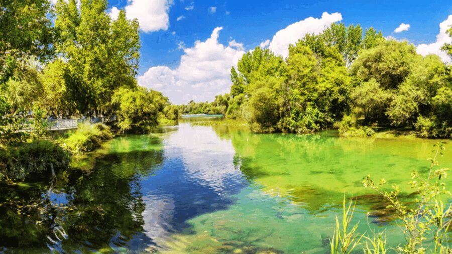 Manavgat River Cruise With Waterfall & Bazaar Tour - Analyzing the Value
