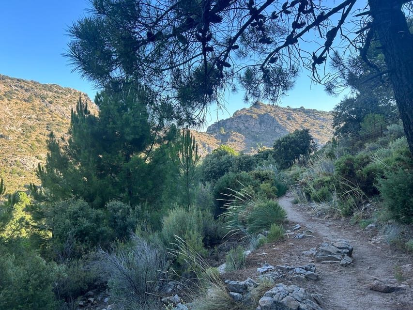 Marbella: "La Concha" mountain tour including snack and drink - An In-Depth Look at the "La Concha" Mountain Tour