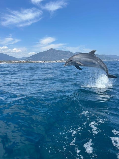 Marbella: Sailing & Dolphin Watching with Snacks and Drinks - The Itinerary in Detail