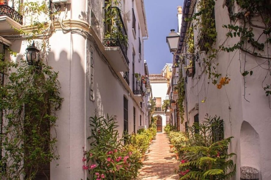 Marbella : Walking Custom Tour with a Local Guide - What You Can Expect on the Tour