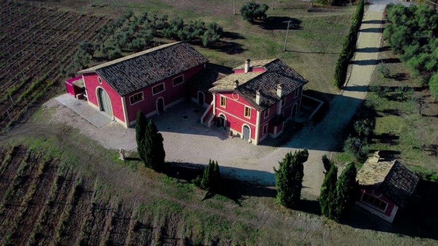 Marche: Tasting and Tour of Local Wines and Tastes at D'Erasmo Winery - The Value of the Experience