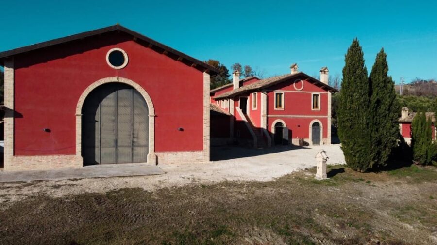 Marche: unique visit and tasting at D'Erasmo Winery among signature wines - Detailed Breakdown of the Experience