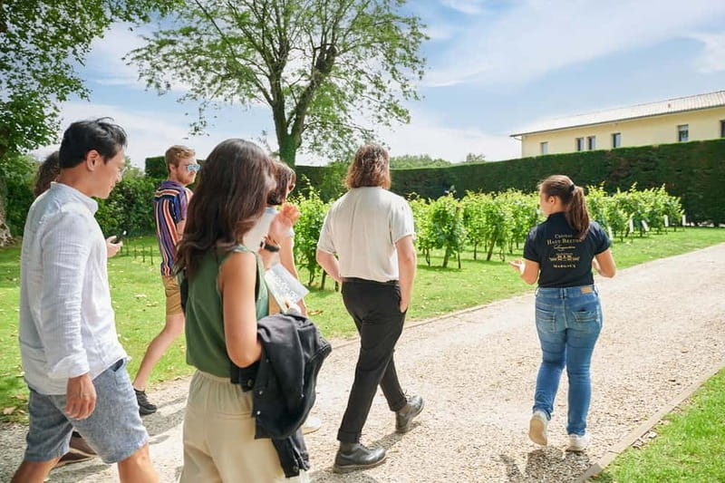 Margaux - Guided tour and lunch at the château - What to Expect from Your Château Experience